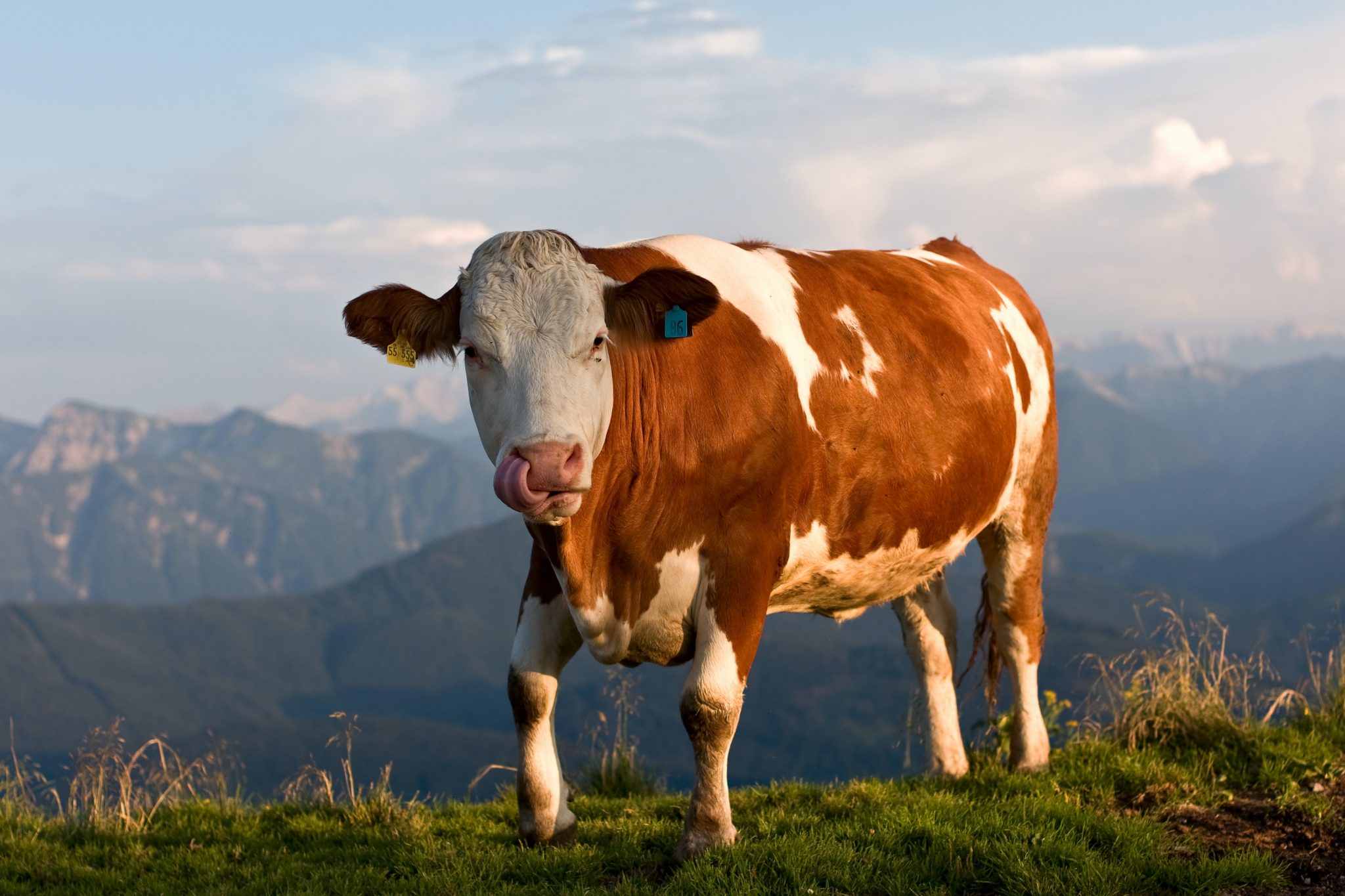 IoT Data Visualization - Best Practices & Examples